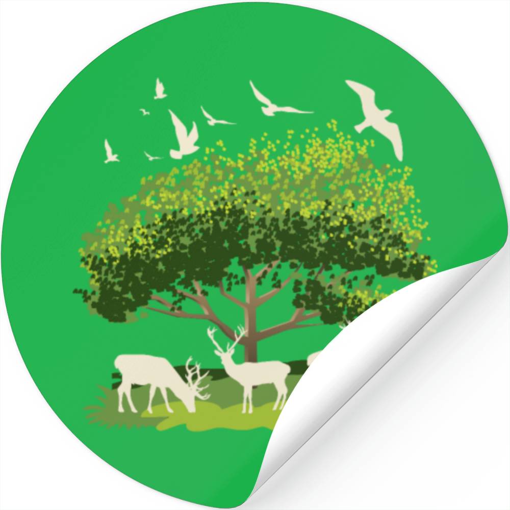 Birds And Deer, The Hidden Life, Wonderful World,